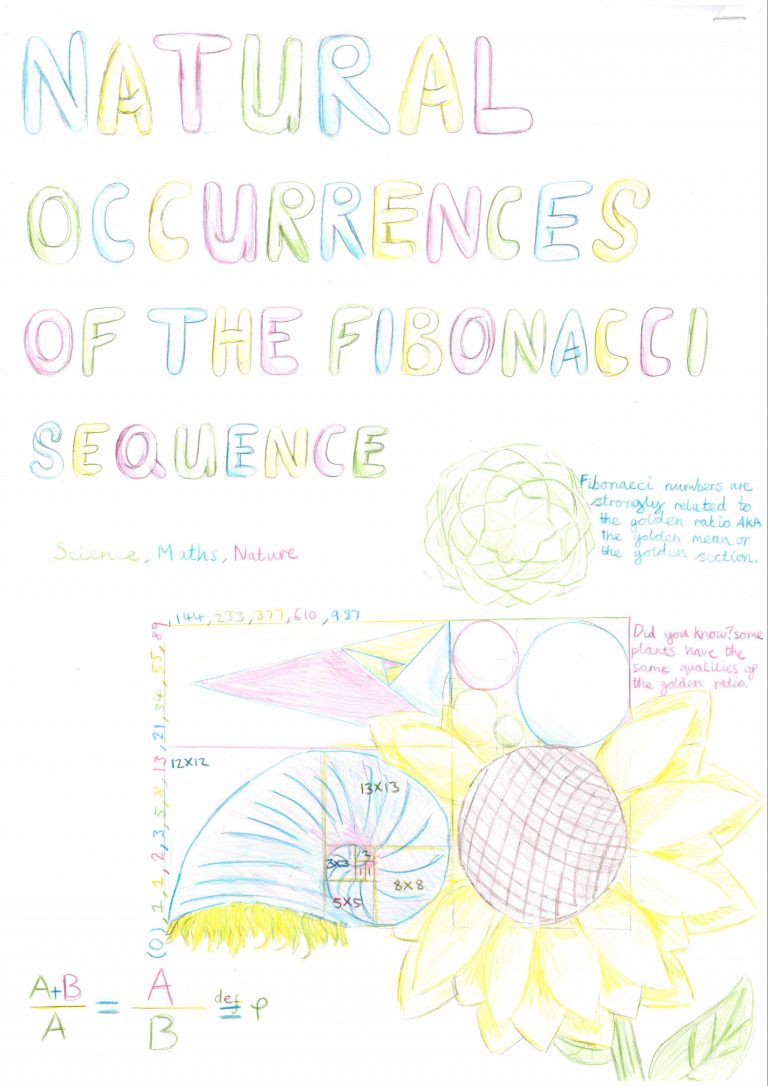 Exeter Maths School | Students – Primary Maths